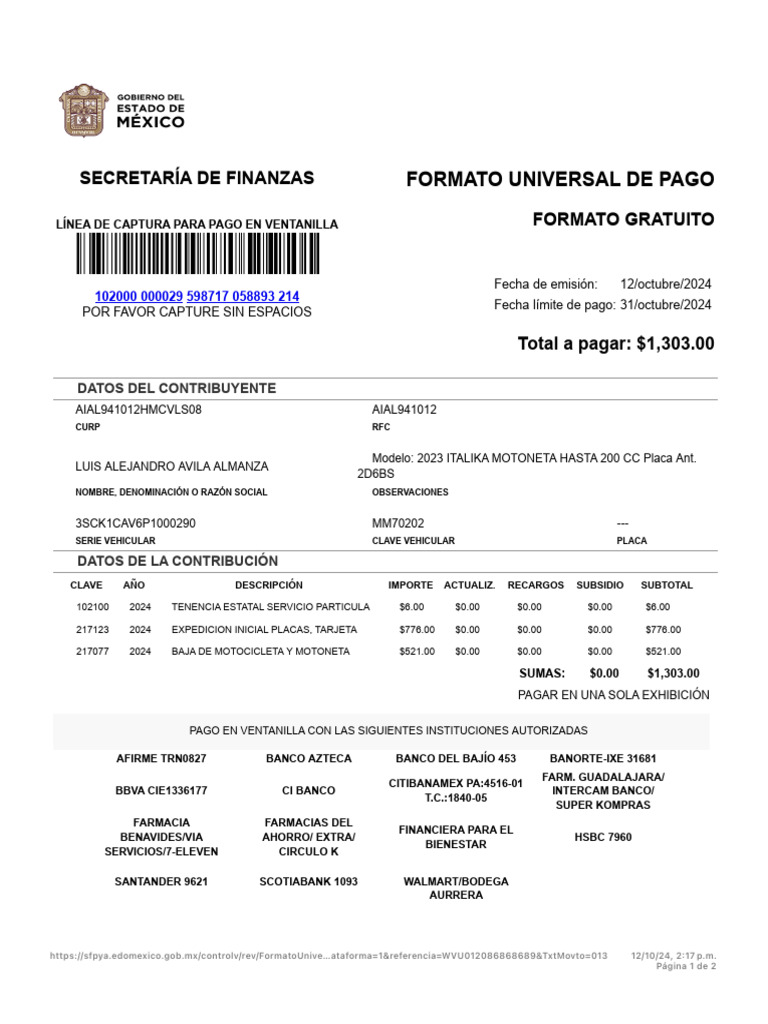 Formato Universal CCV | PDF