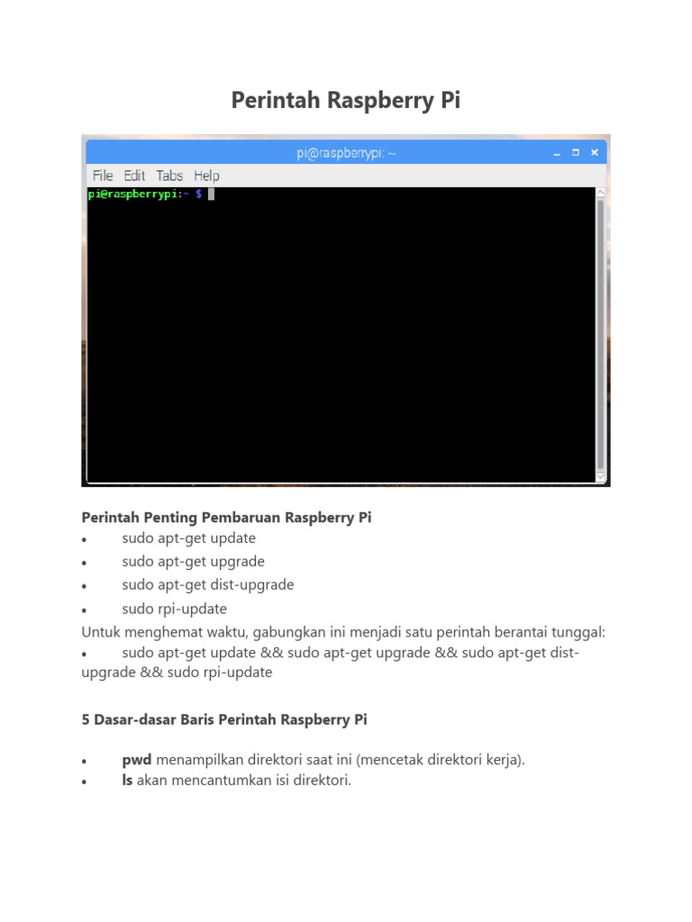 Perintah Raspberry Pi | PDF