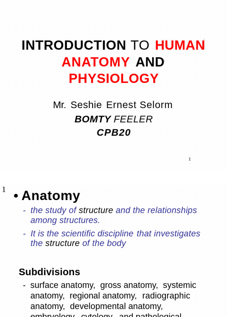 Intro Anatomy Bomty 6 | PDF