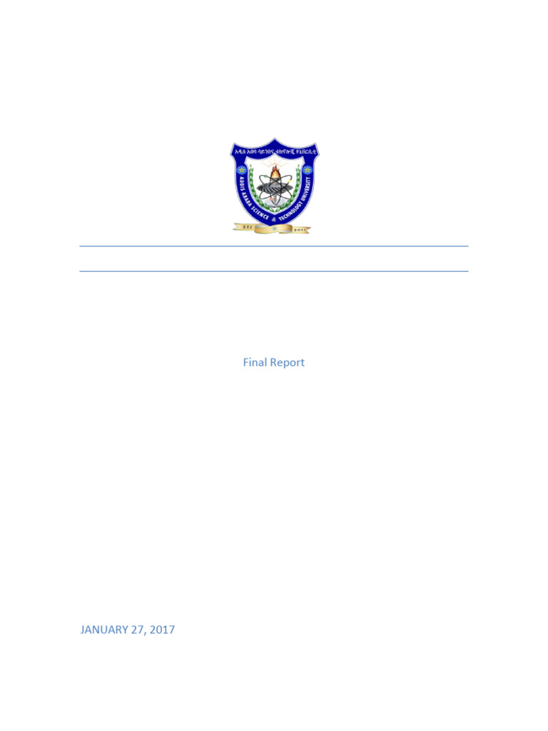 Final Report Luwam | PDF