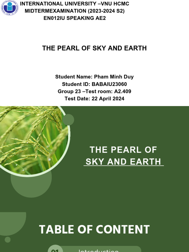 Speaking Midterm AE2 PDF | PDF | Science & Mathematics