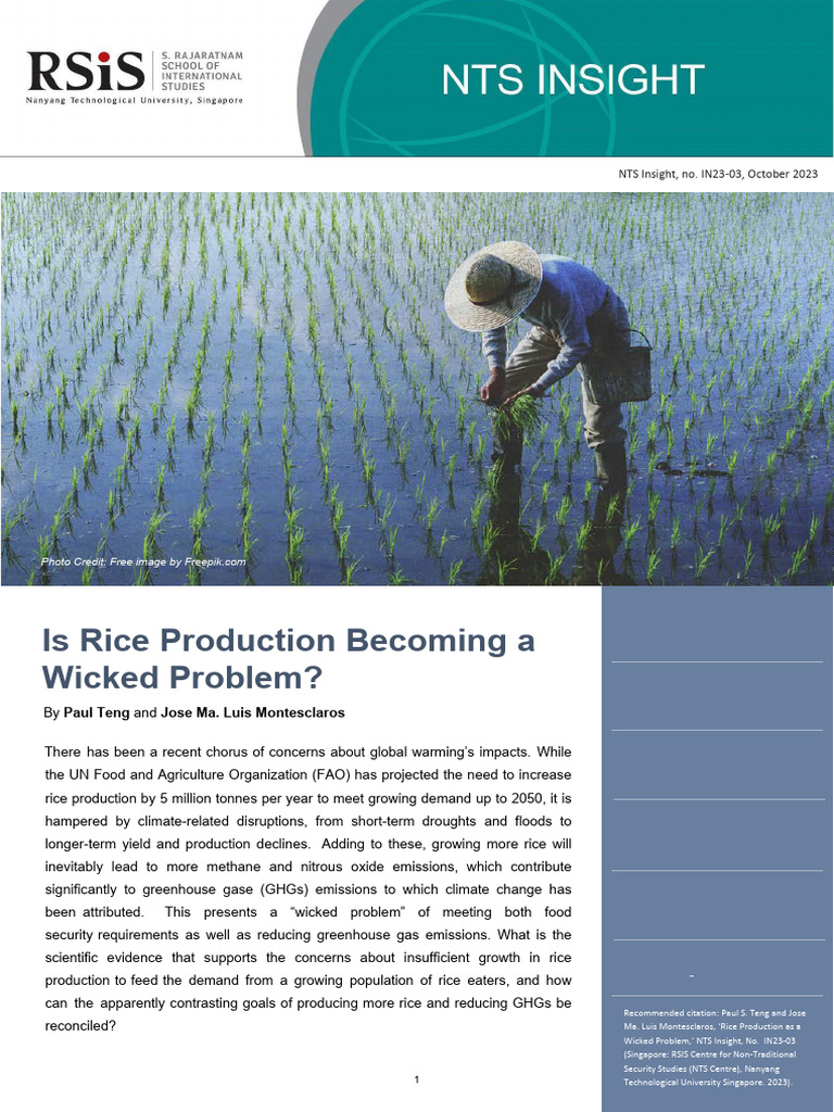 Rice Production as a Wicked Problem NTS Insight 2023 | PDF