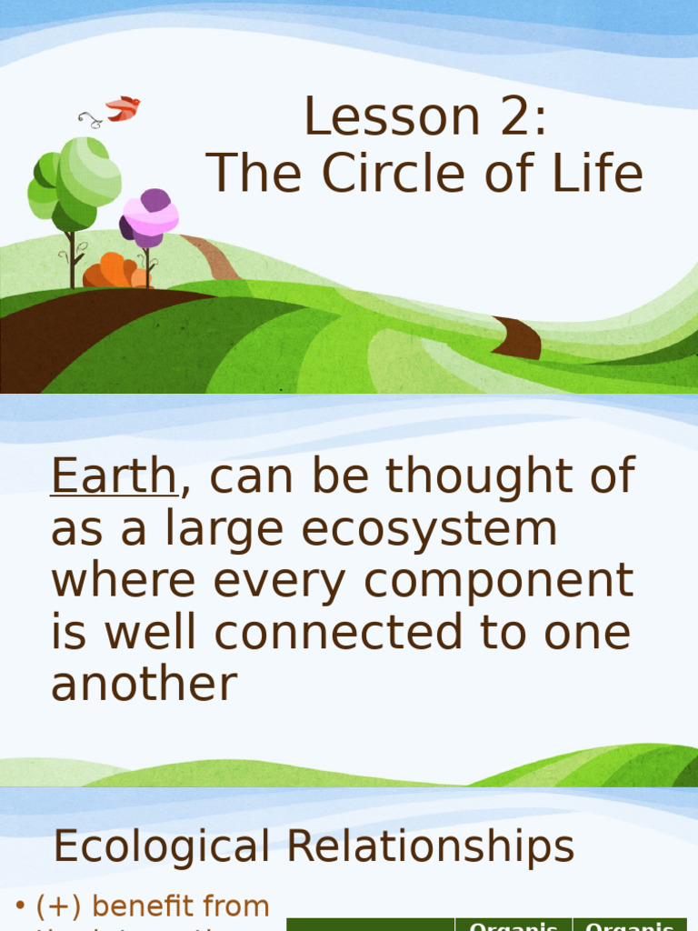 Lesson 2 The Circle of Life | PDF