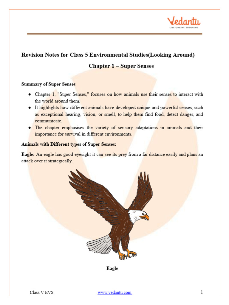 EVS Notes Class 5 Science Book Chapter 1 Super Senses FREE PDF | PDF