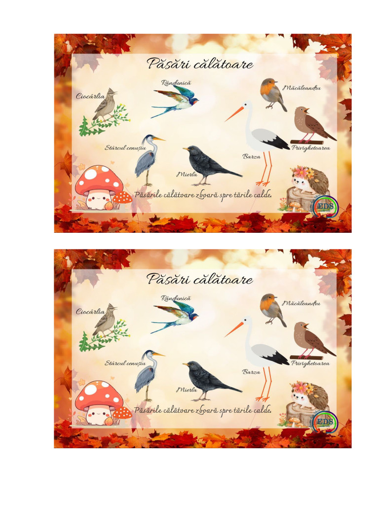 Pasari Calatoare | PDF