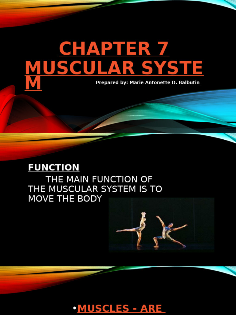 Chapter 7 - Muscular System | PDF | Muscle | Wellness