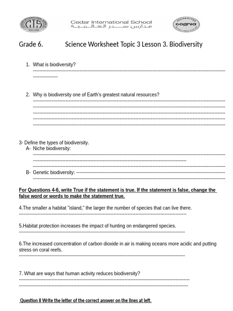 Topic 3 Lesson 3 Exercise Worksheet | PDF