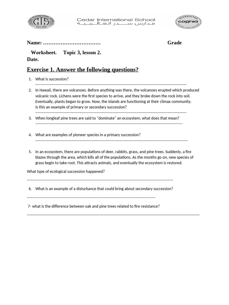 Topic 3 Lesson 2 Exercise Worksheet | PDF