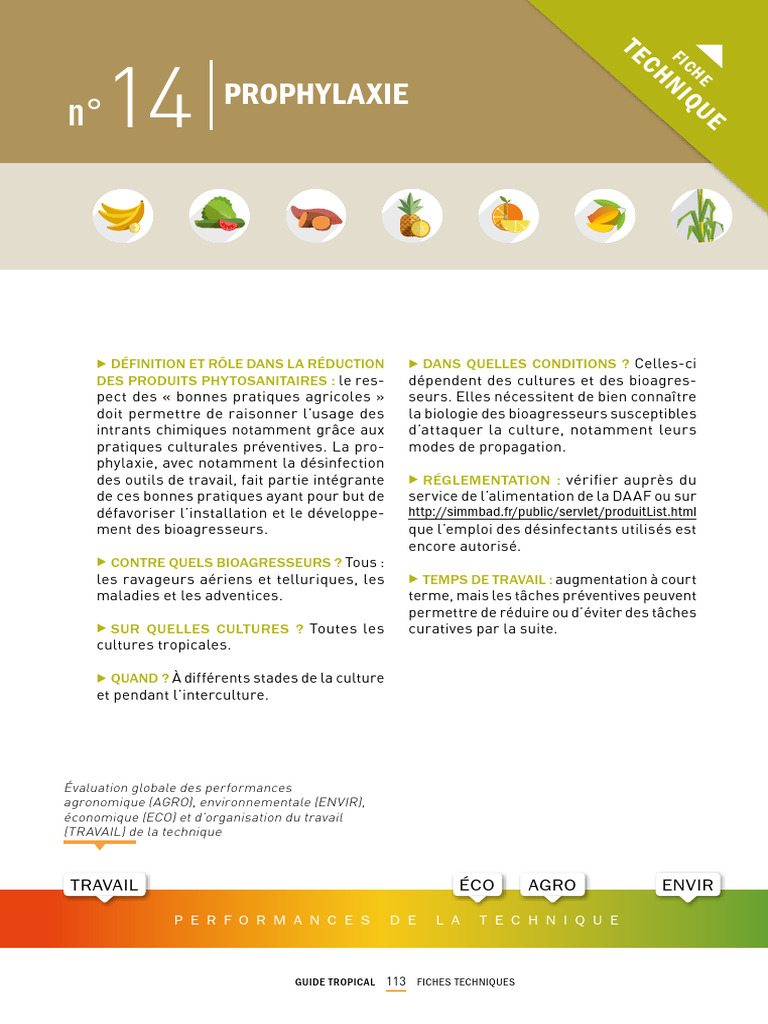 Guide CT FT14 Prophylaxie | PDF