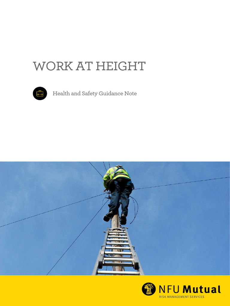 Working at Height | PDF