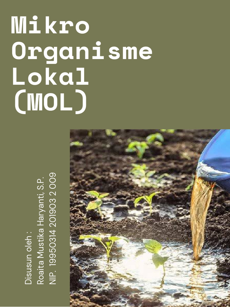 Booklet MOL 2019 | PDF | Technology & Engineering | Science & Mathematics