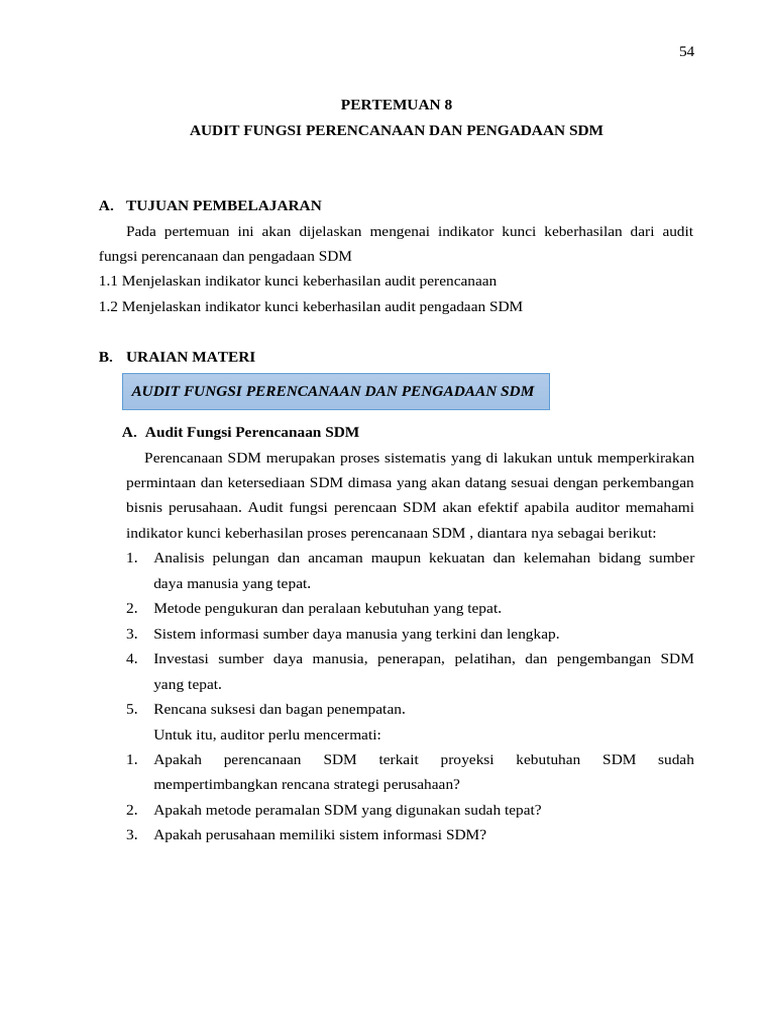 Pertemuan 8 Audit SDM | PDF