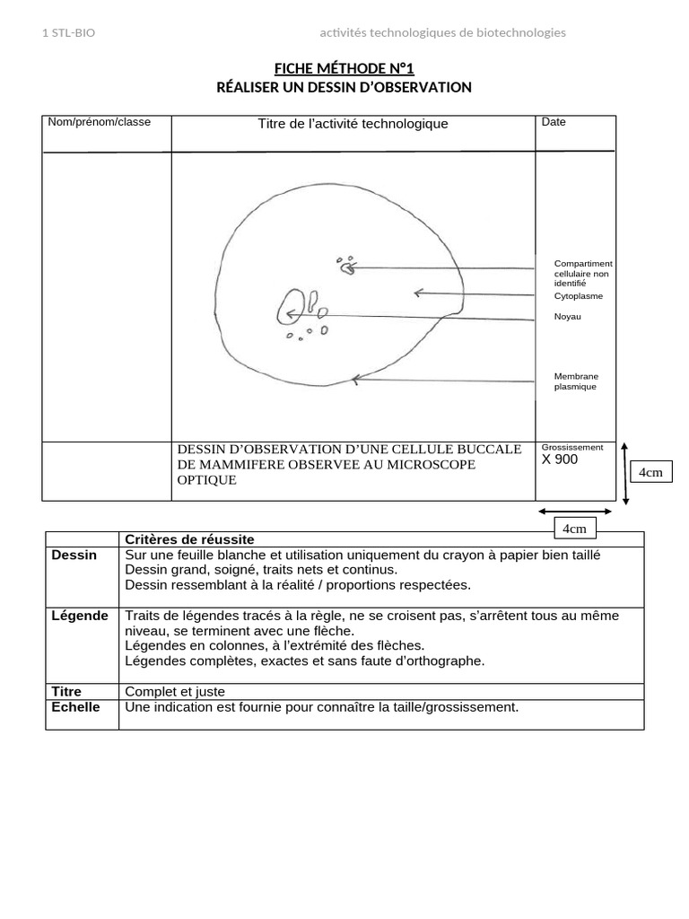 Fiche Méthode 1 DESSIN D'OBSERVATION(1) | PDF