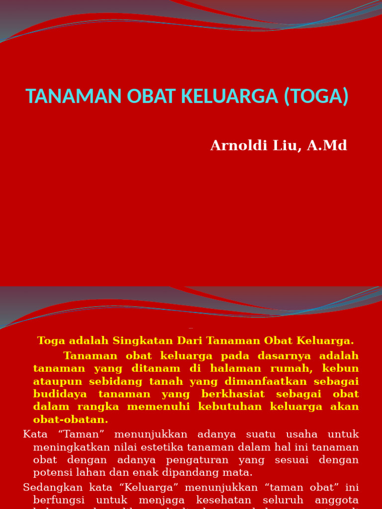 Tanaman Obat Keluarga (Toga) | PDF