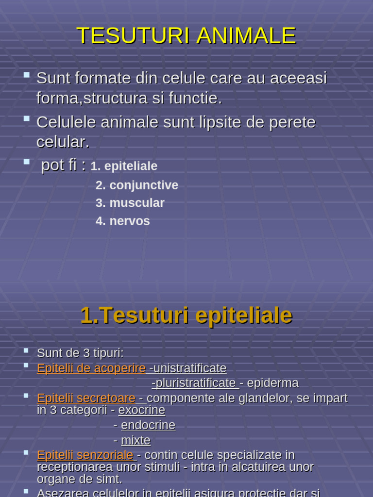Tesuturile Animale | PDF