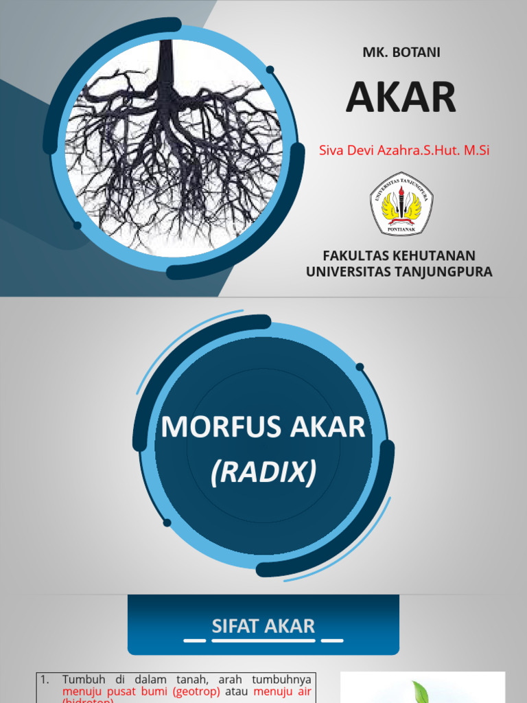 Akar | PDF