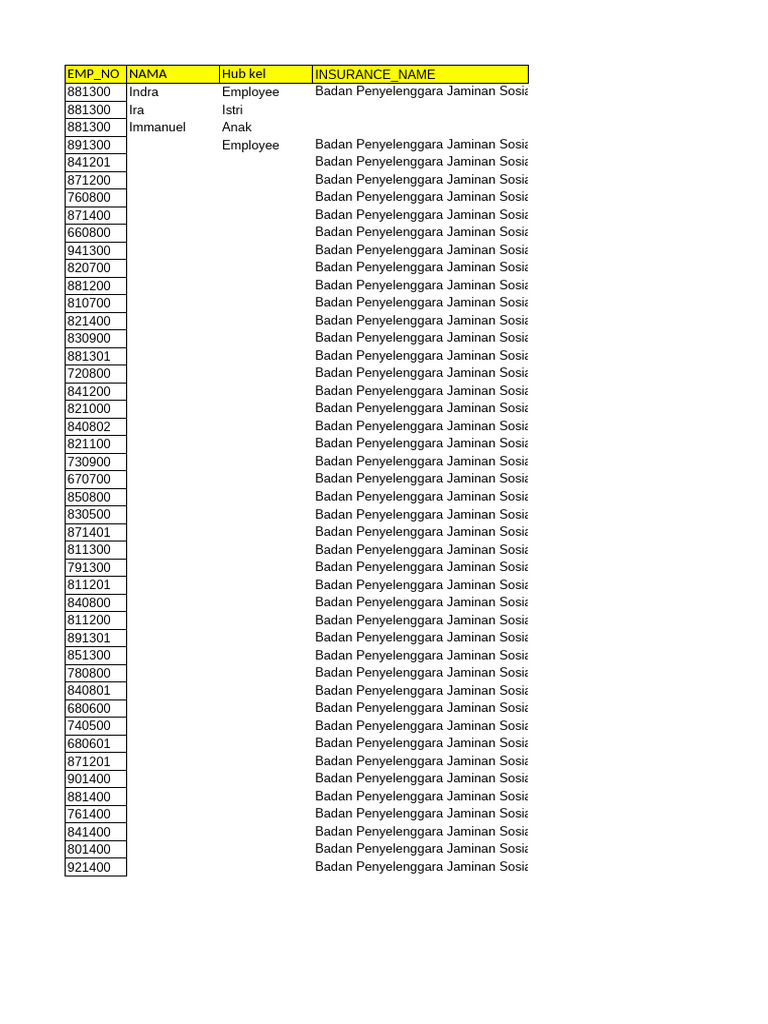 Template BPJS Employee | PDF