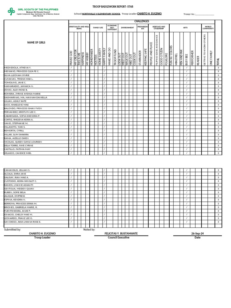 Badgework Star | PDF