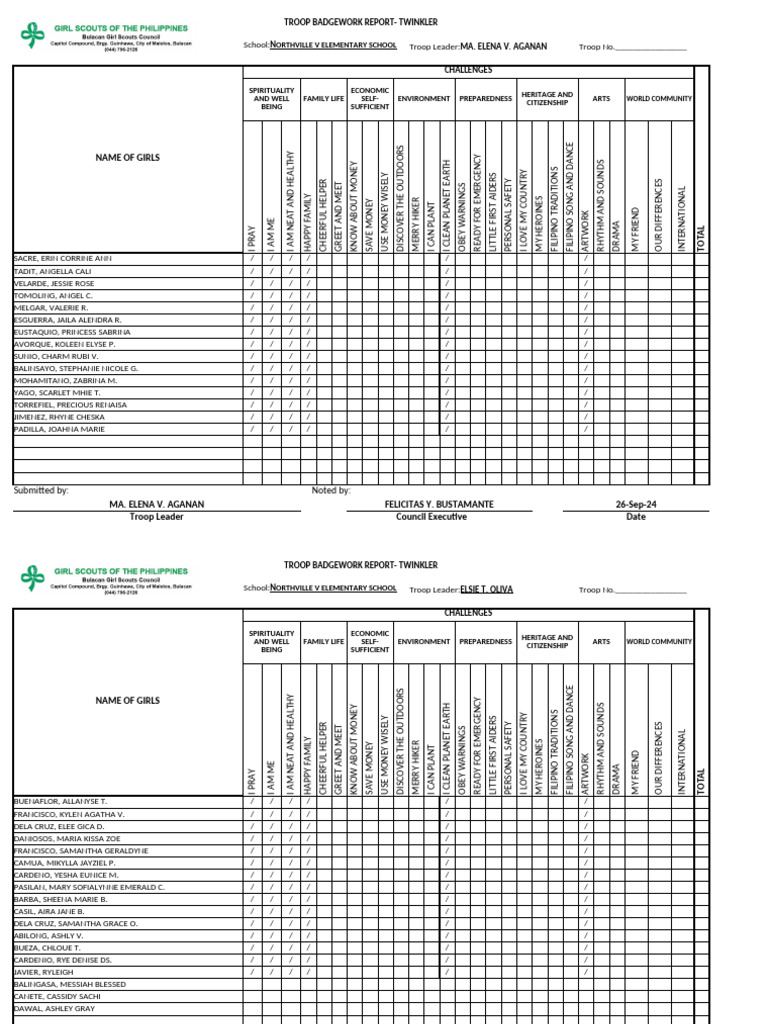 Badgework Twinkler | PDF