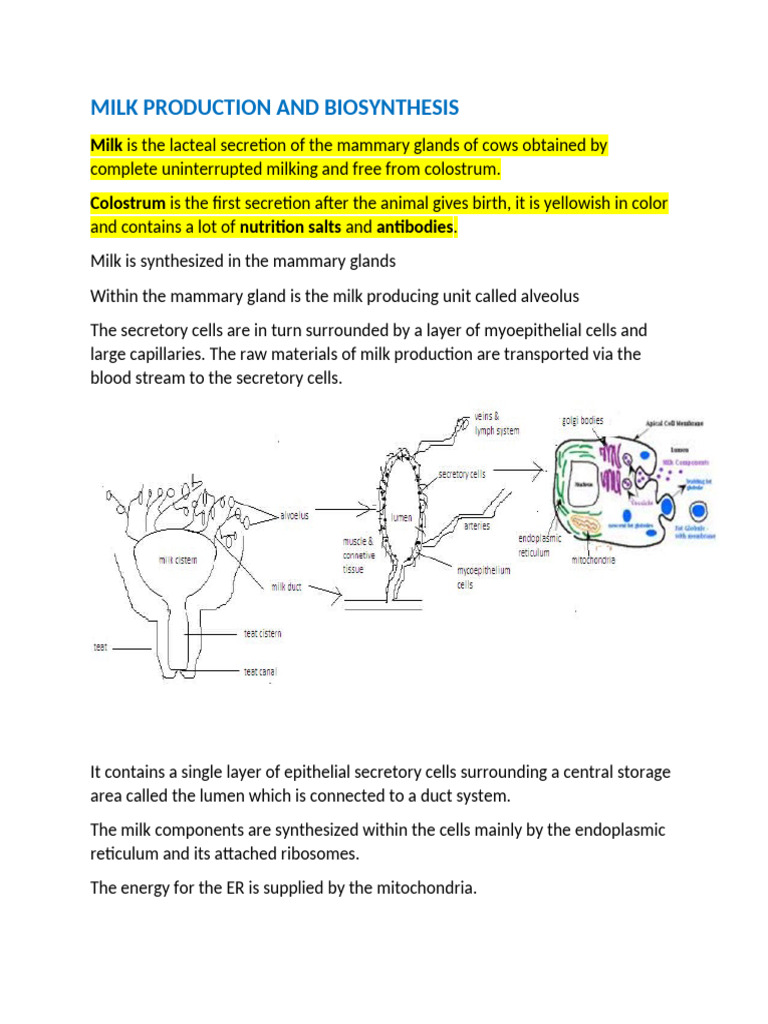 Milk Production and Biosynthesis | PDF