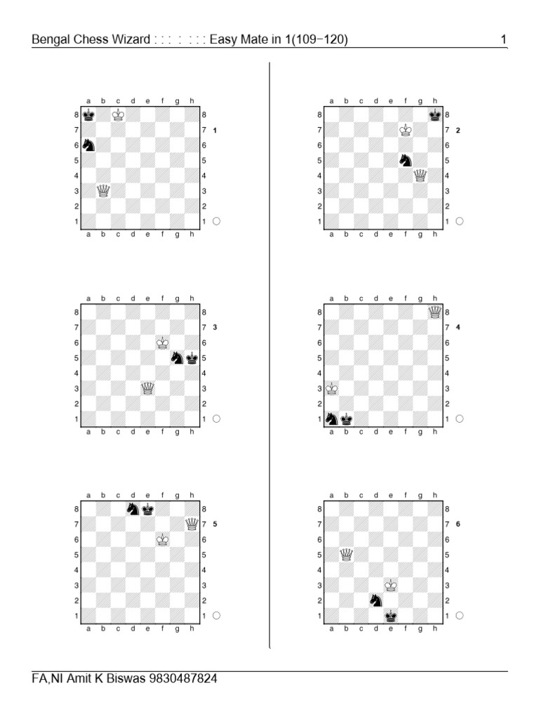 Easy Mate in 1 (109-120) | PDF
