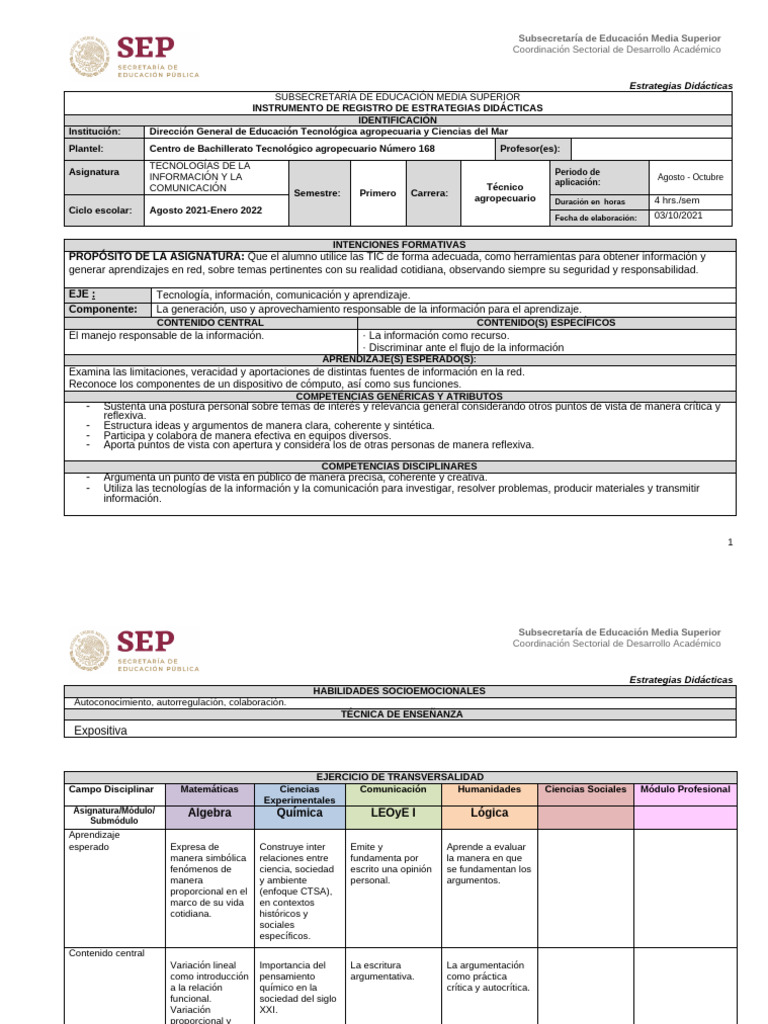 Formato Registo ECA-Asignatura TIC | PDF