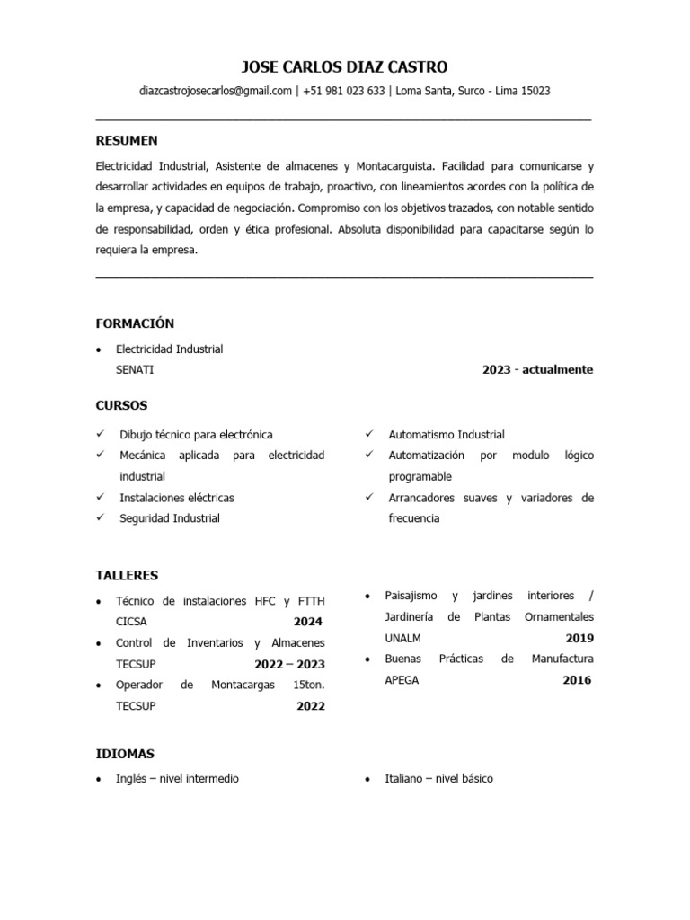 CV Jose Carlos DIAZ CASTRO2 | PDF