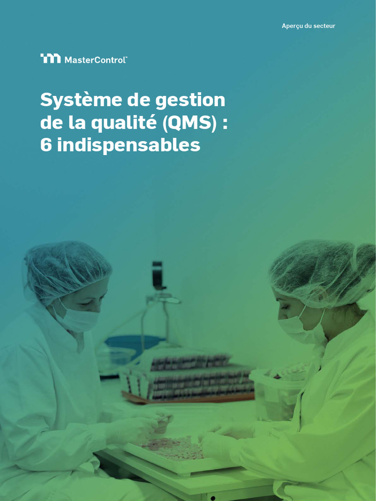 6 Éléments Indispensables Pour Un Système de Gestion de La Qualité (SMQ ...