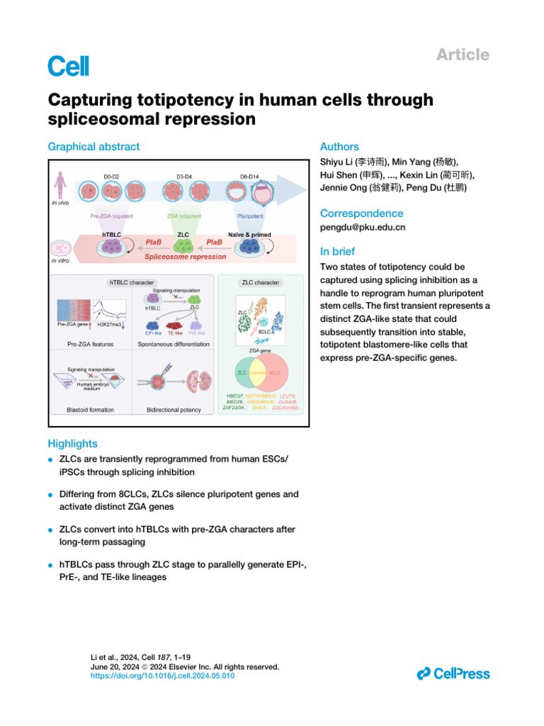 2024-Cell-Capturing Totipotency in Human Cells Through Spliceosomal ...