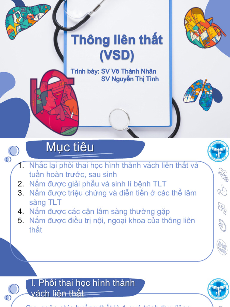 VSD Final | PDF