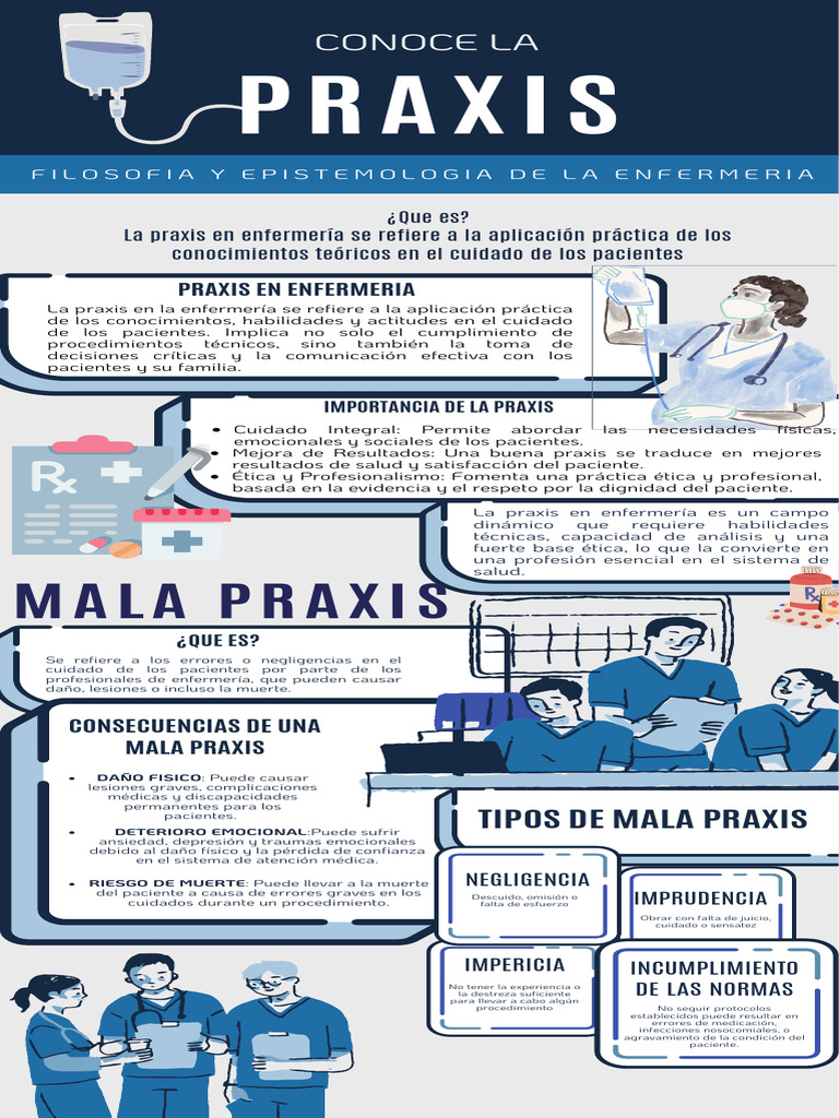Infografia PRAXIS | PDF