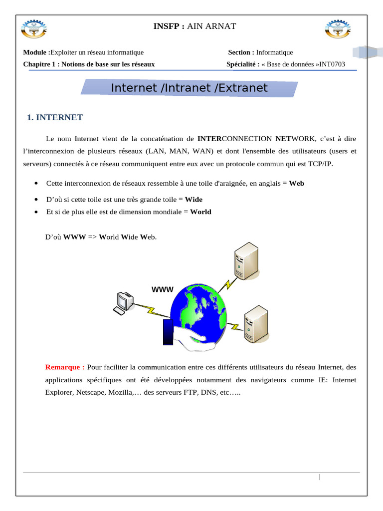 Intranet -Extranet | PDF