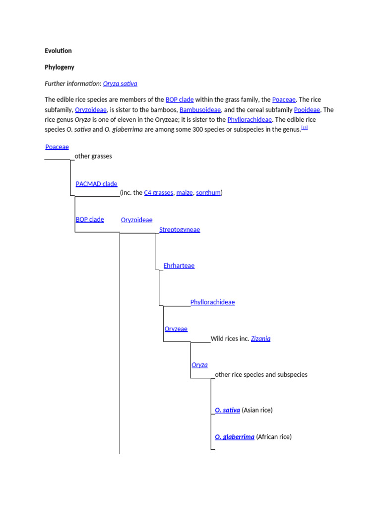 Further Information:: BOP Clade Poaceae Oryzoideae Bambusoideae ...