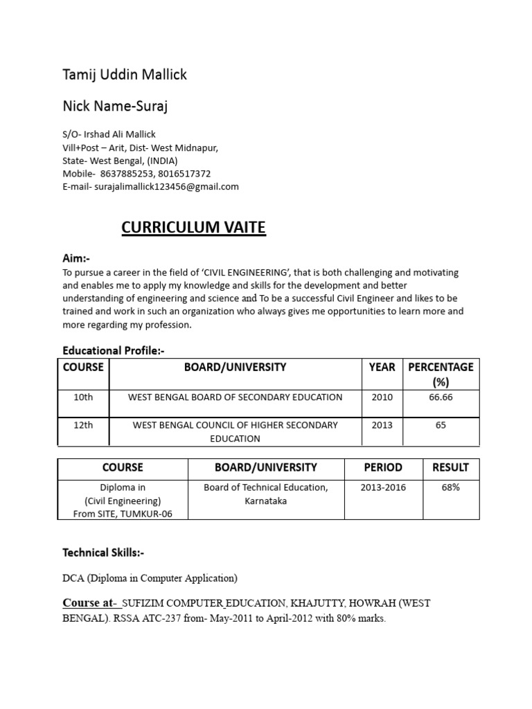 Tamij Mallick CV | PDF