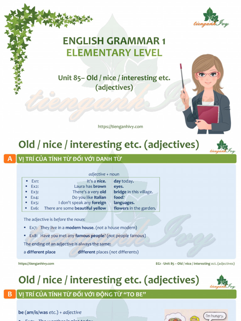 EG1-Unit 85-Old Nice Intersting Ect Adjectives WM | PDF