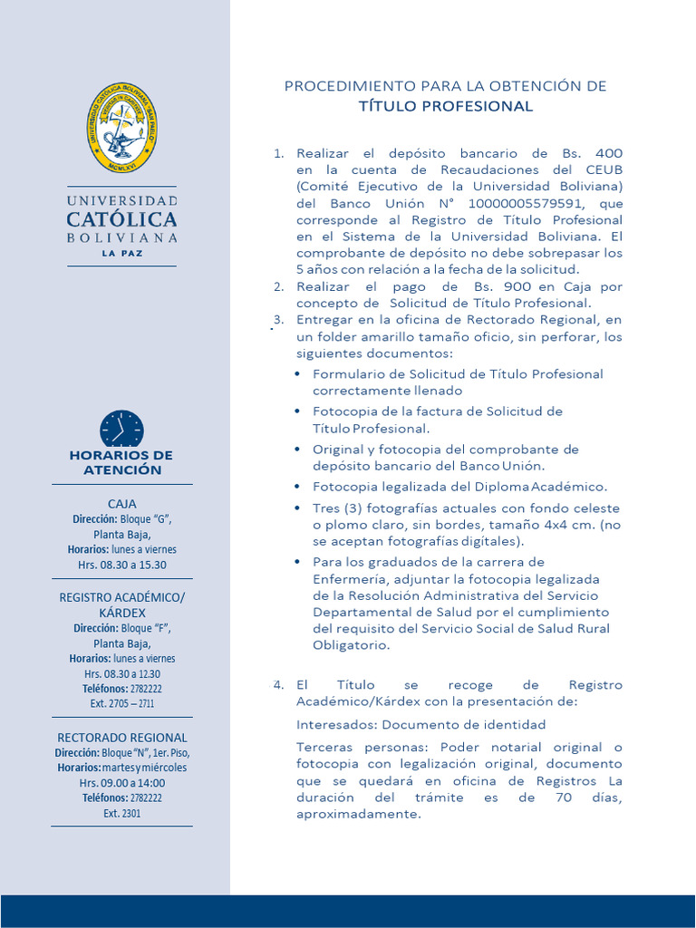 Titulo Profesional | PDF