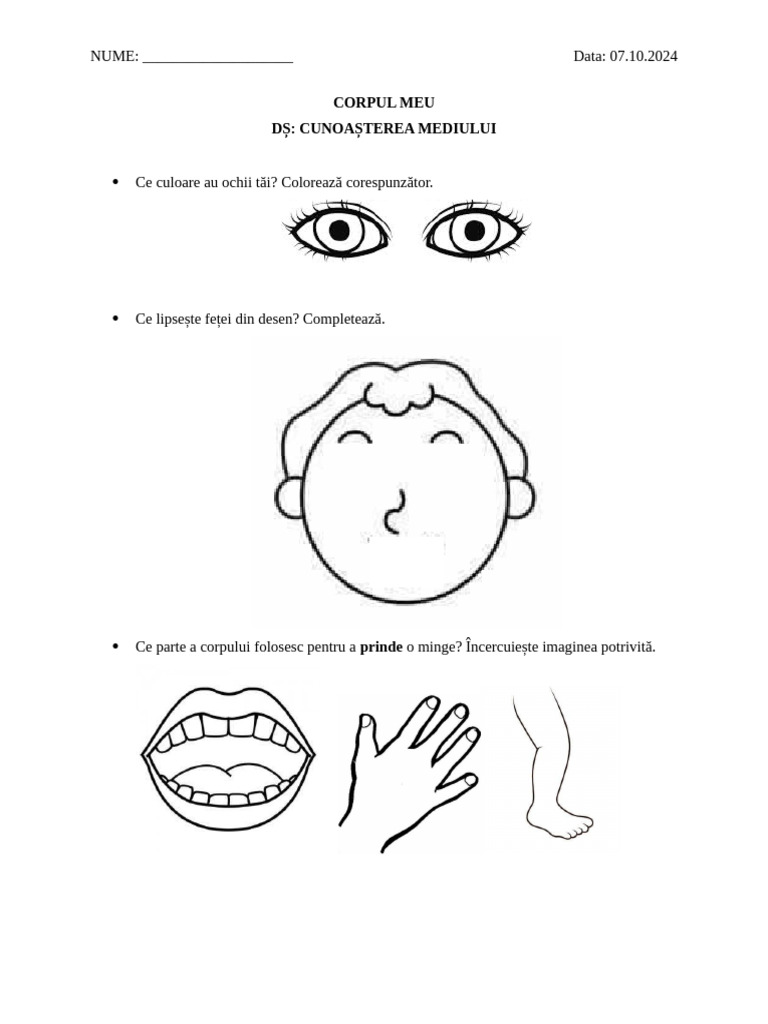 Fisa Corpul Meu | PDF