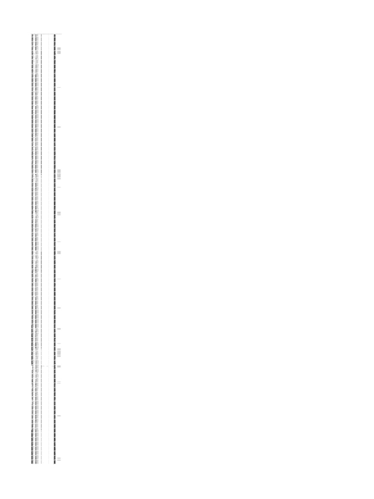 TBL Branch Dev Data Table | PDF