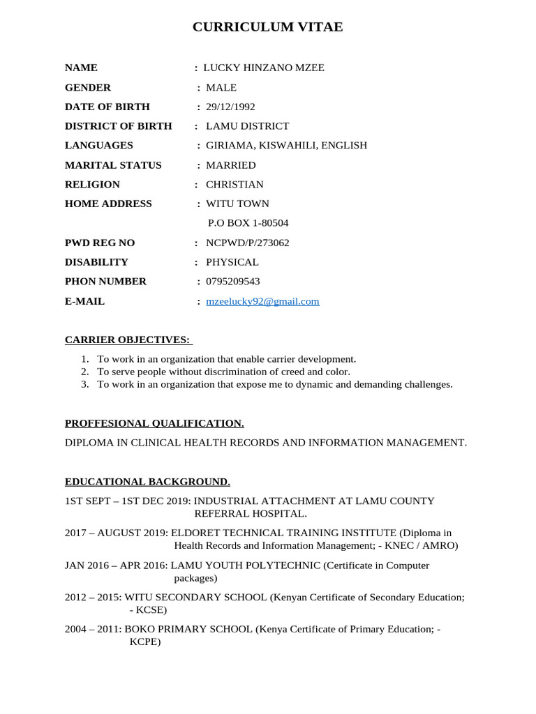Lucky Hinzano Curriculum Vitae | PDF