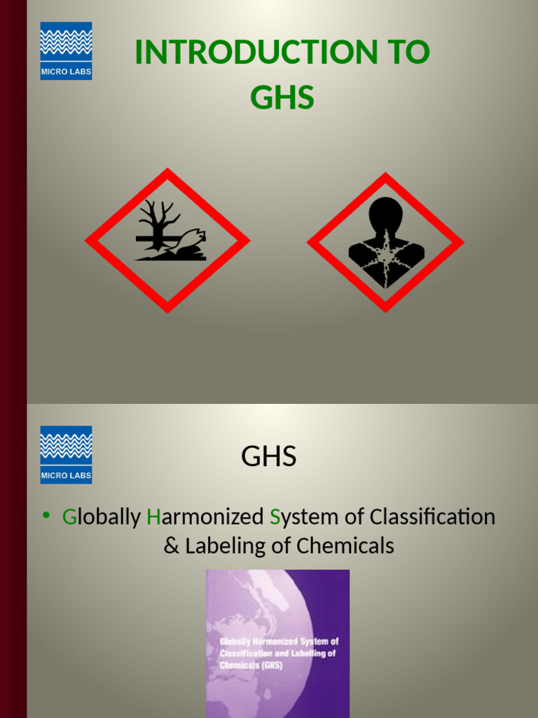 Training Partial GHS Introduction | PDF