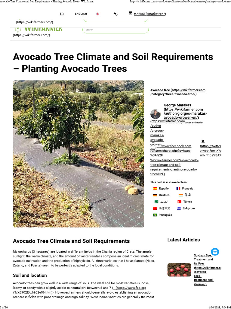 Avocado Tree Climate and Soil Requirements - Planting Avocado Trees ...