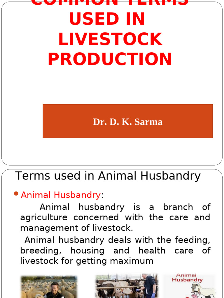 Common Terminologies | PDF