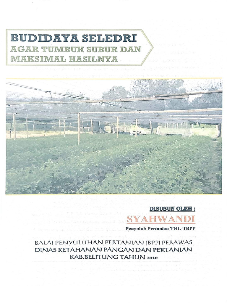 Brosur Budidaya Seledri | PDF