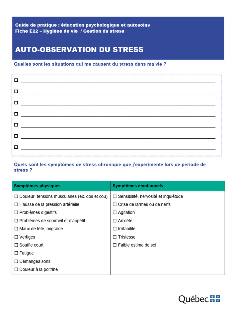 Auto-Observation Du Stress: Quelles Sont Les Situations Qui Me Causent ...