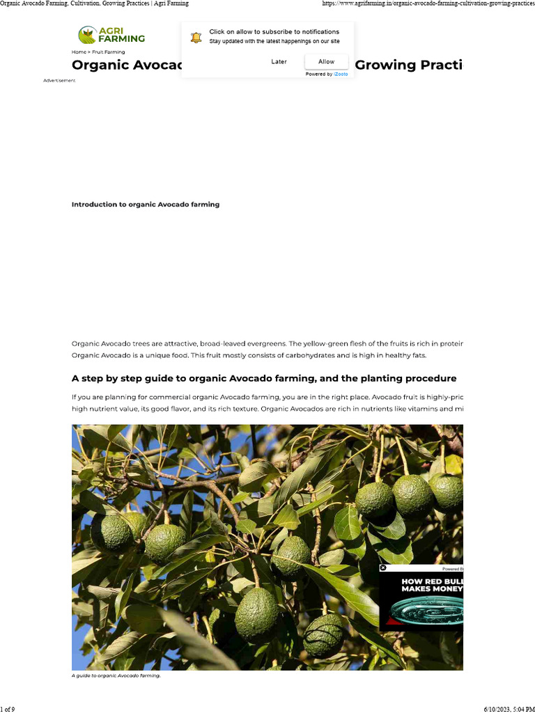 Organic Avocado Farming, Cultivation, Growing Practices Agri Farming | PDF