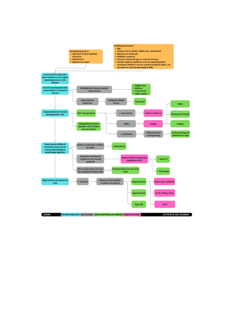 All Patho Diagram | PDF | Leukemia | Diseases And Disorders