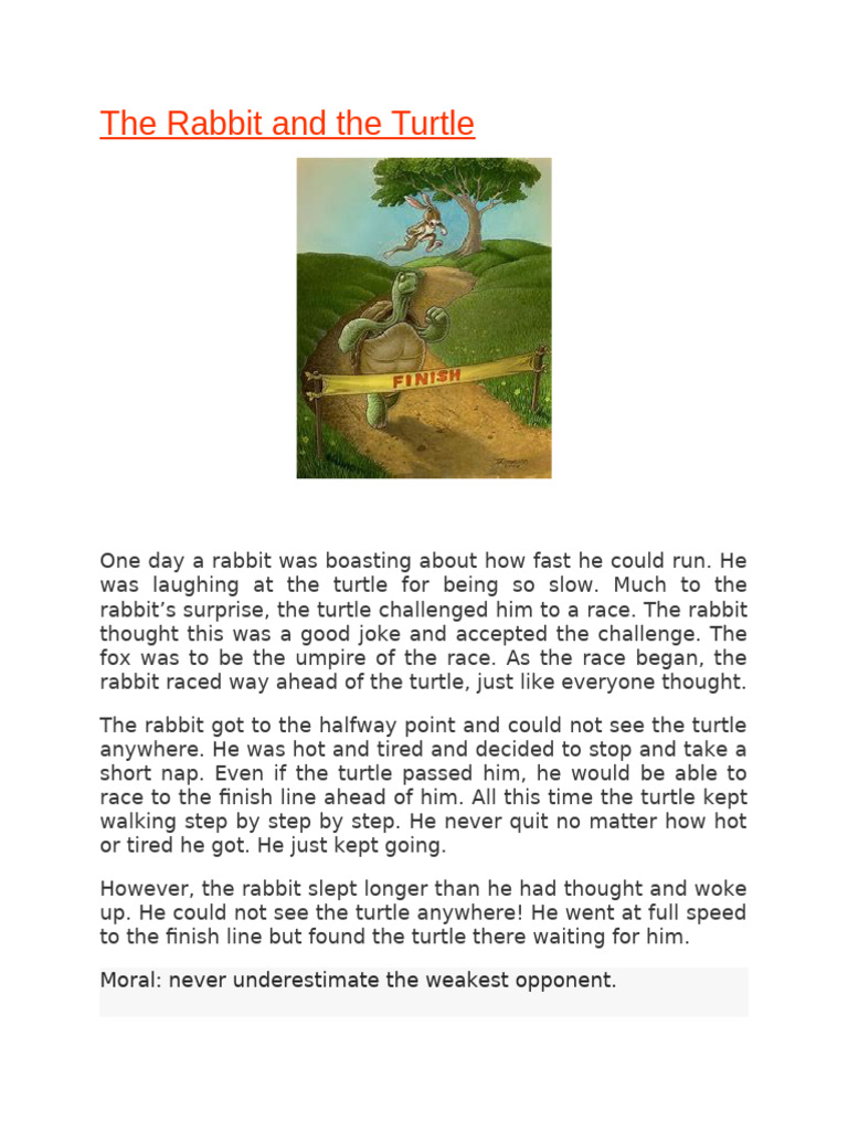 The Rabbit and The Turtle | PDF