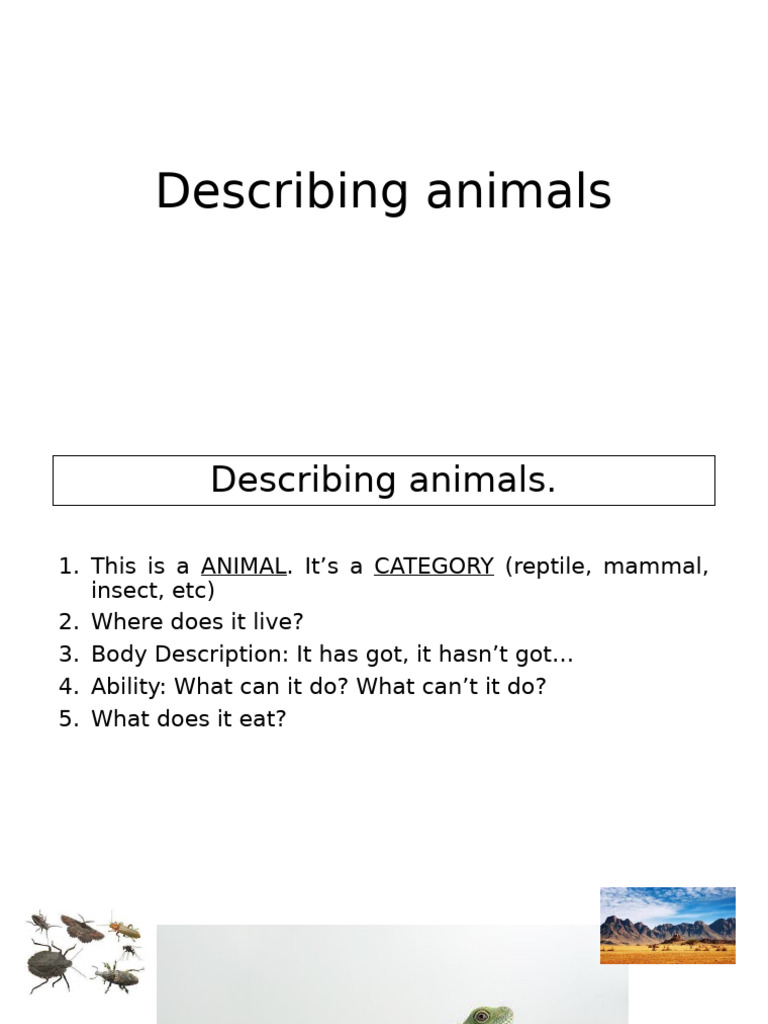 Describing Animals | PDF