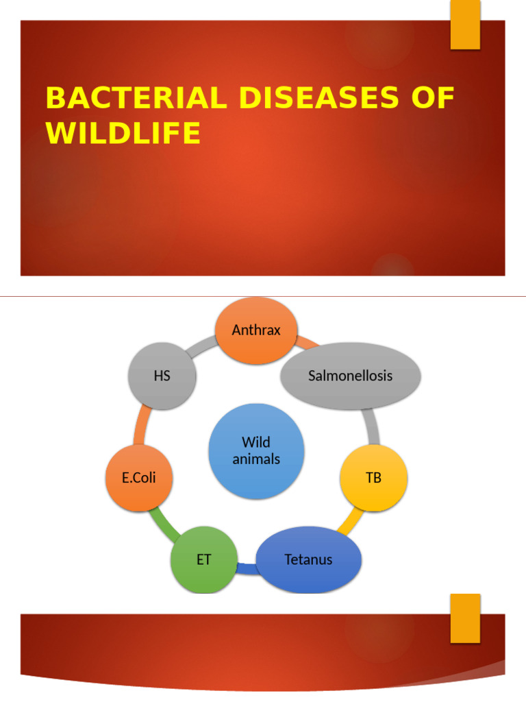 Wild Life Diseases-Bacterial | PDF | Tuberculosis | Salmonella