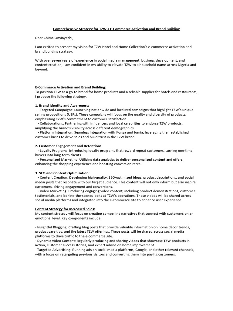 Comprehensive Strategy For TZW | PDF